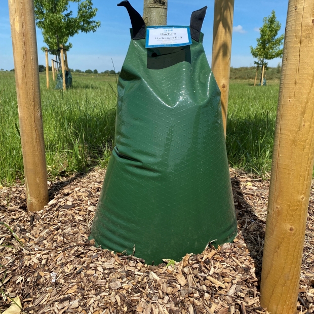 Tree Hydration Bag - Barcham Trees